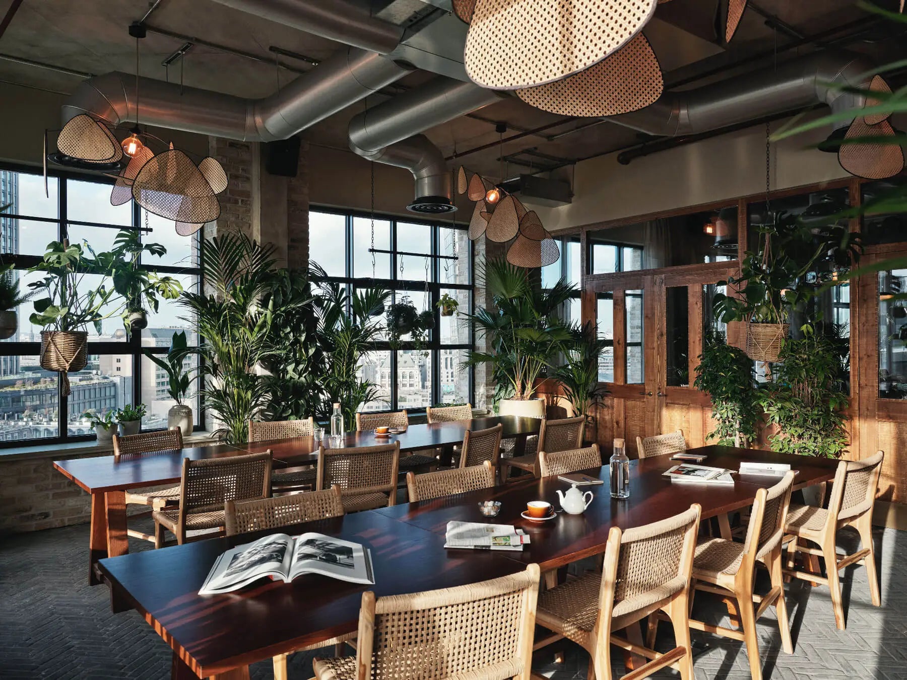 Indoor plant library – Underleaf