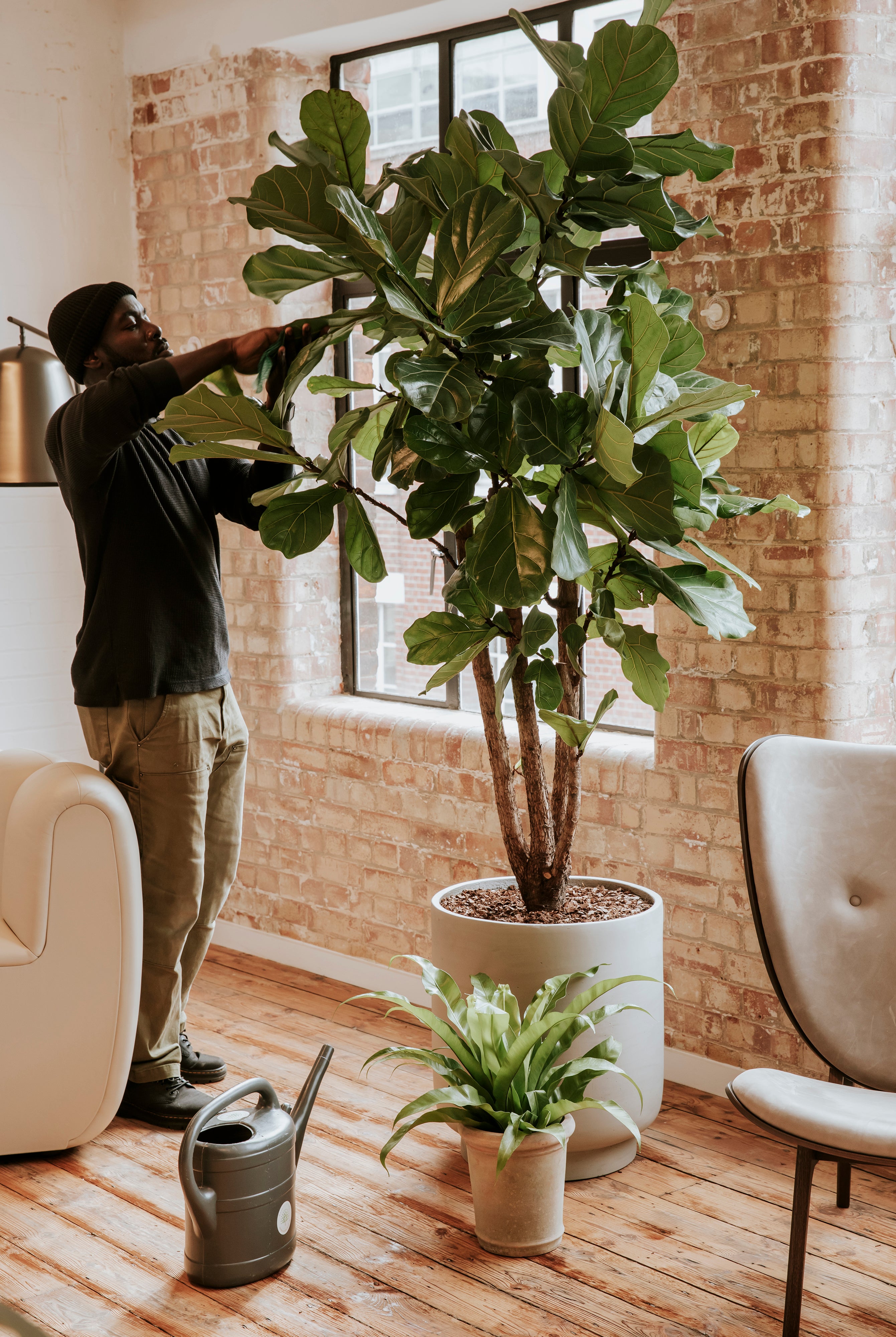 Maintenance – Underleaf